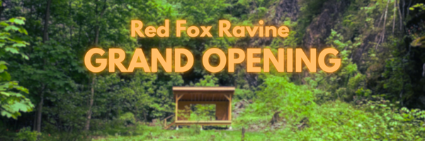 Kingston Land Trust | Kingston Land Trust